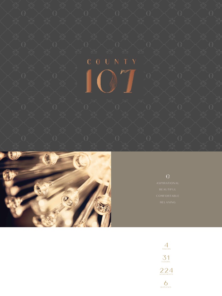 County 107 E Brochure 20 01 20 | PDF | Kitchen | Interior Design