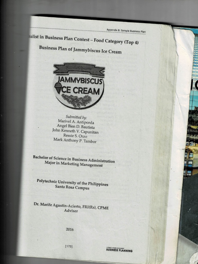 Sample Business Plan | PDF