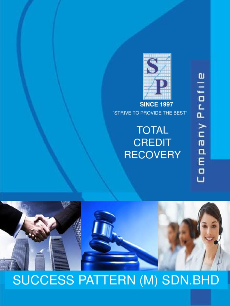 Succes Pattern SDN BHD Profile | PDF | Insurance | Debt