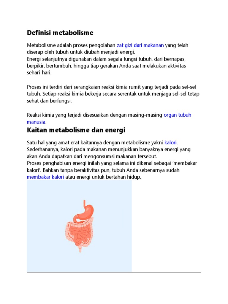 Definisi dan Proses Metabolisme Manusia | PDF