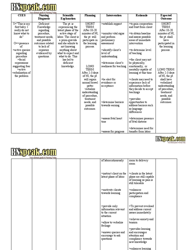Labor Nursing Care Plan 1 | PDF | Childbirth | Learning