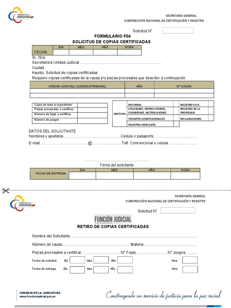Formulario F04 | PDF | Gobierno y personalidad | Gobierno