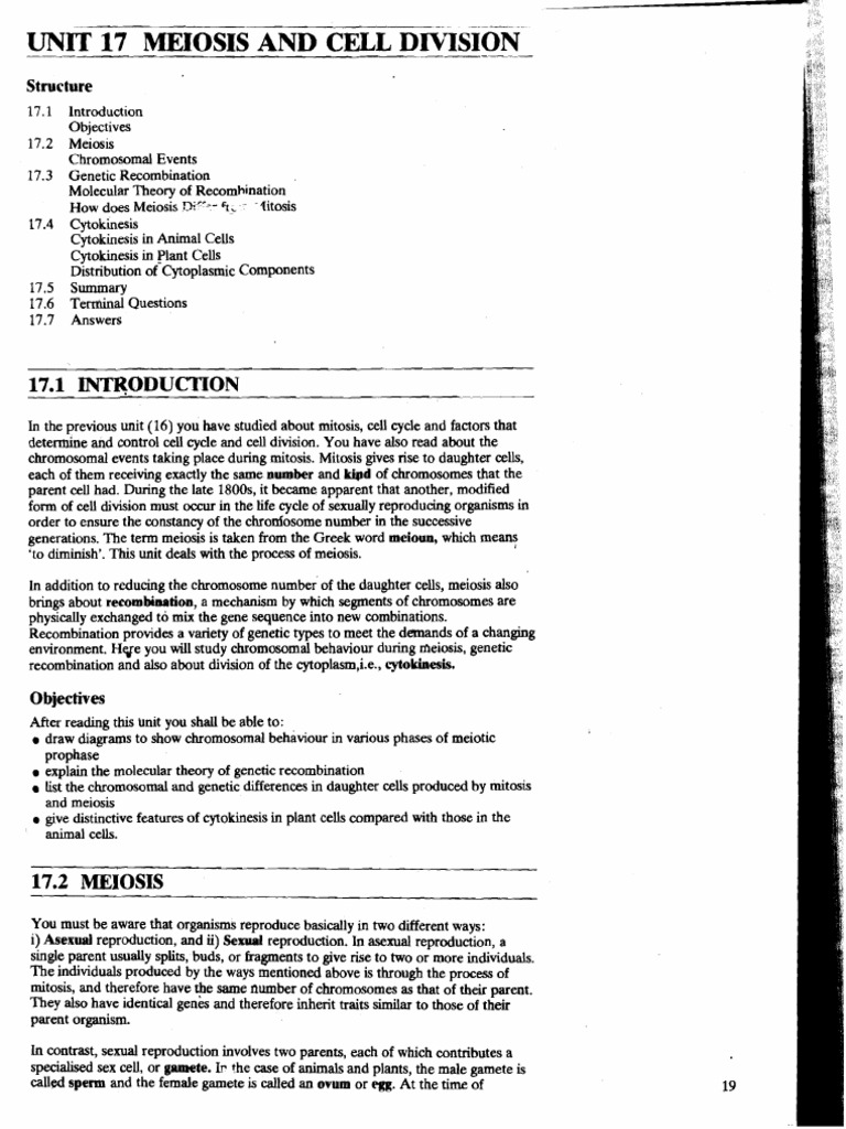 Meiosis and Cell Division Guide | PDF | Meiosis | Mitosis