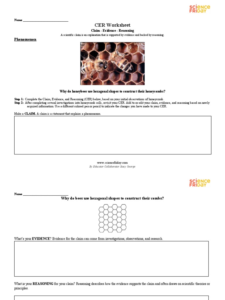 CER Worksheet 1 | PDF