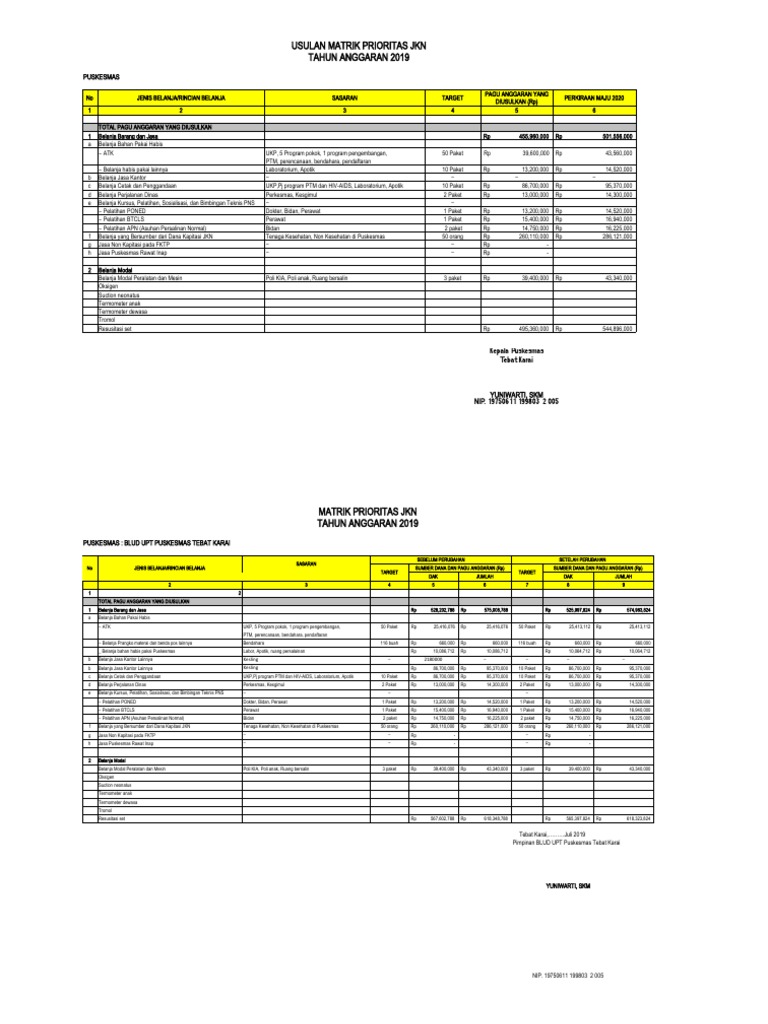 Matrik Usulan Prioritas JKN | PDF