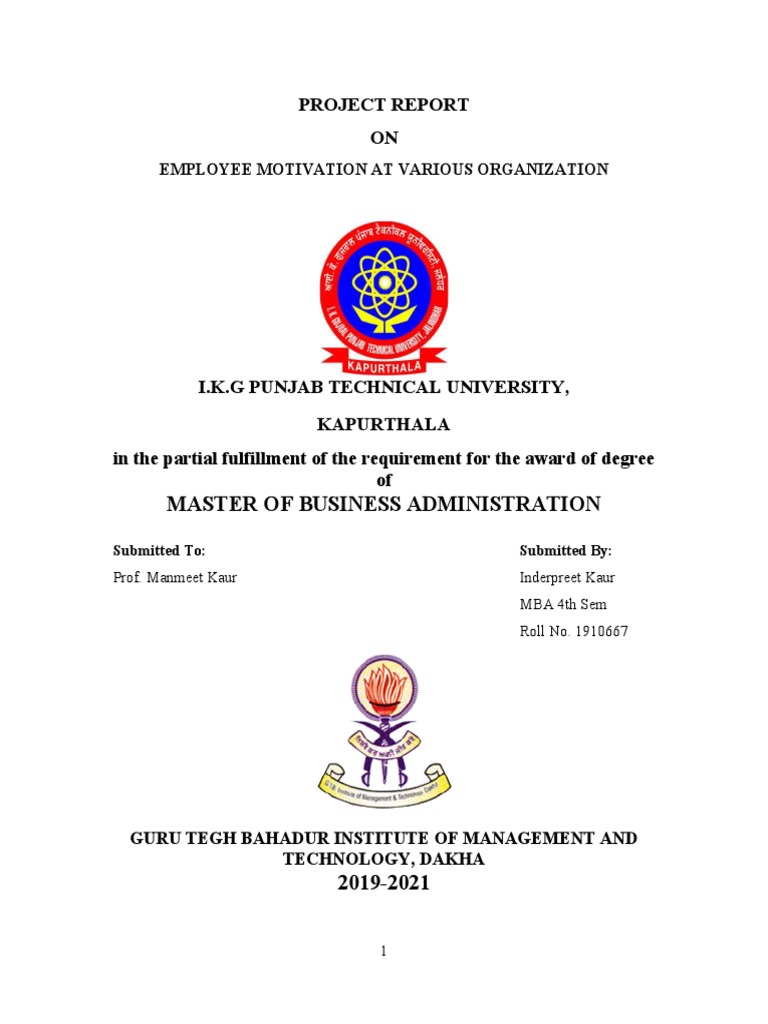 Employee Motivation Project Report | PDF | Motivation | Motivational