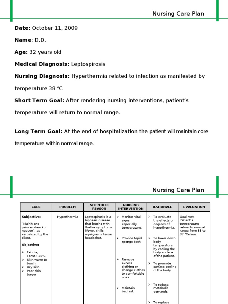 Nursing Care Plan | PDF | Dehydration | Fever