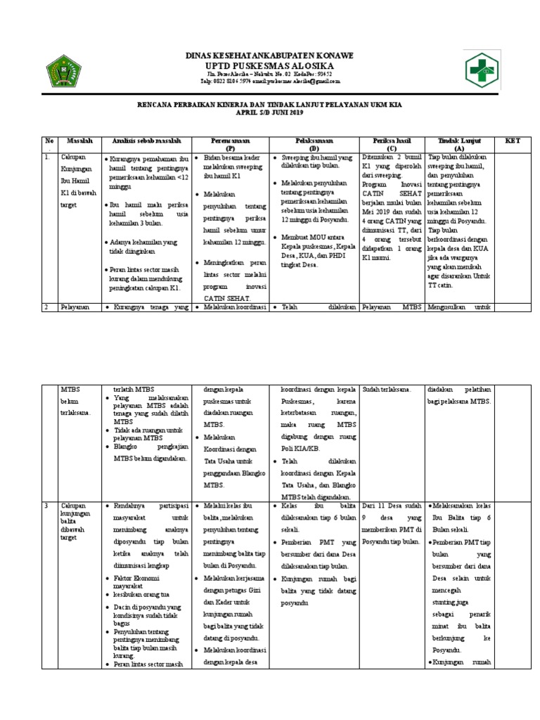 PDCA KIA Triwulan II | PDF