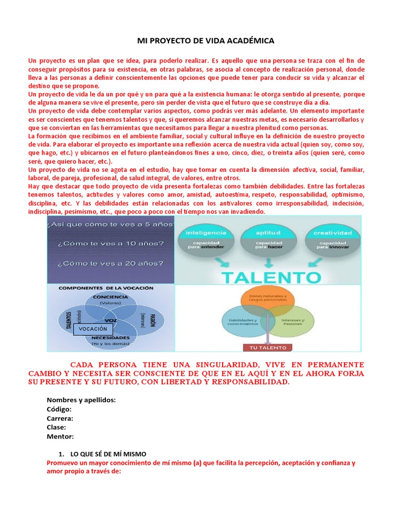 Esquema De Proyecto De Vida Pdf Vida Autoestima