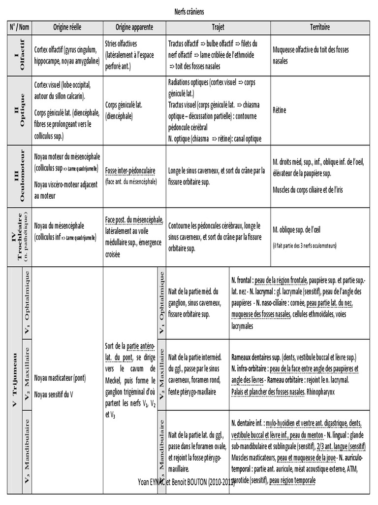 Tableau Des Nerfs Crâniens | PDF | Nerf vague | Tête et cou chez l'humain