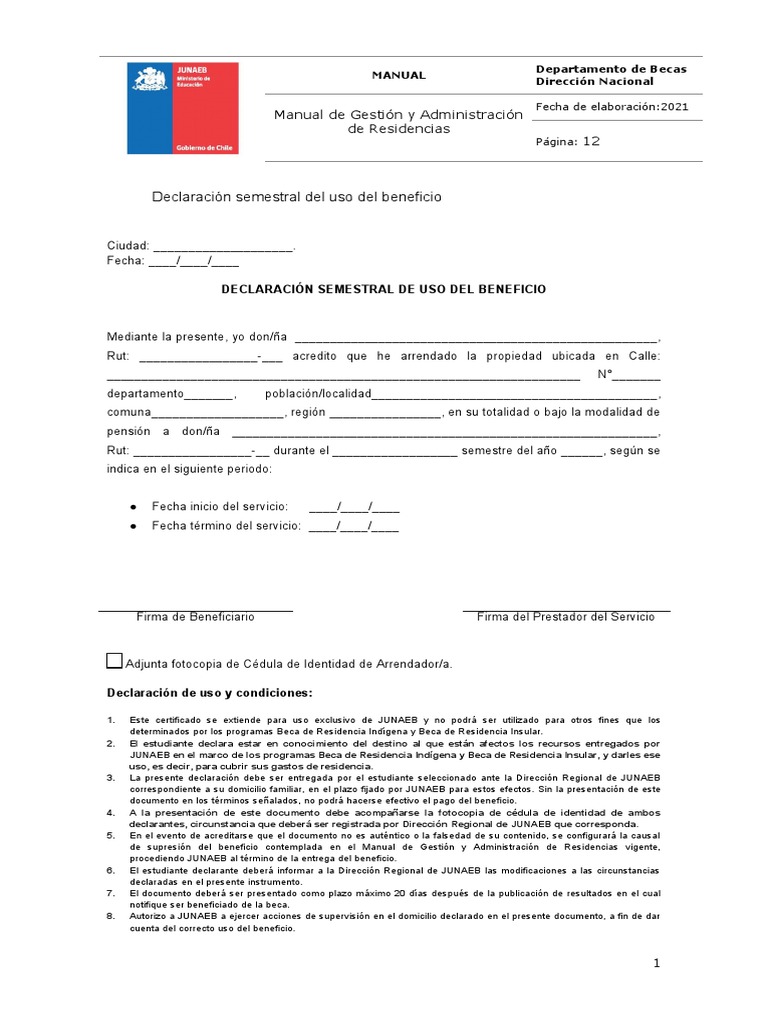 0 - Formato Declaracion Semestral BRI | PDF | Business