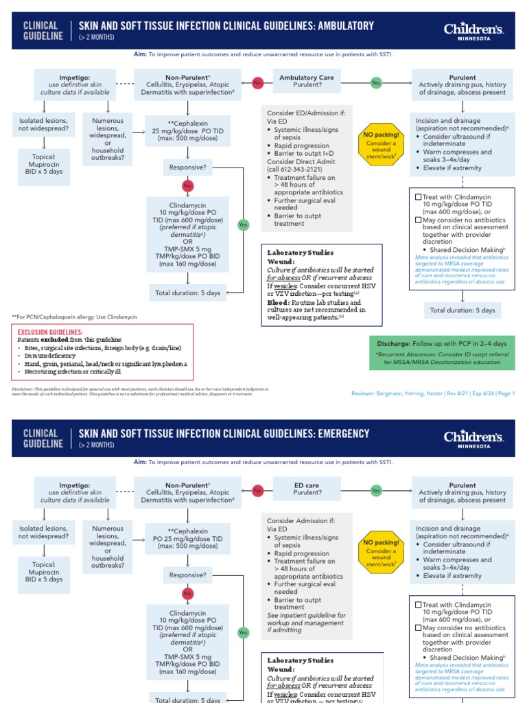 Protocolos Minnesota Piel ATB | PDF | Staphylococcus Aureus ...