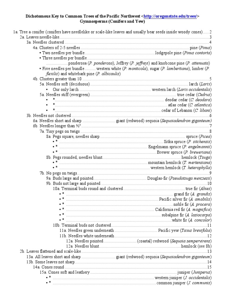 Dichotomous Key To Common Trees of The Pacific Northwest | PDF ...