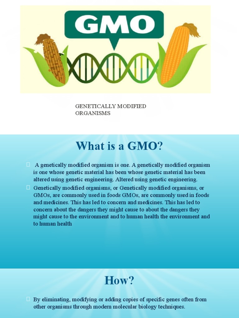 Genetically Modified Organisms | PDF | Genetically Modified Organism ...