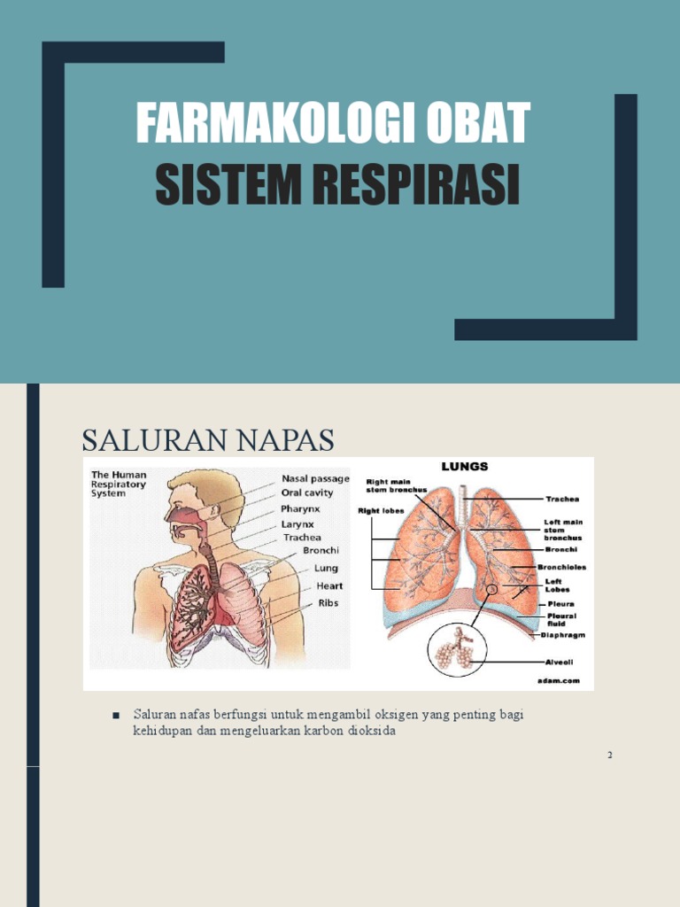 Farmakologi Obat Sistem Respirasi | PDF