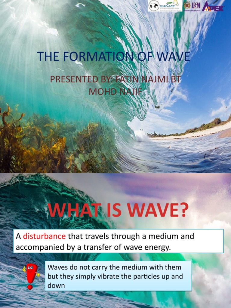 The Formation of Wave | PDF | Motion (Physics) | Applied And ...