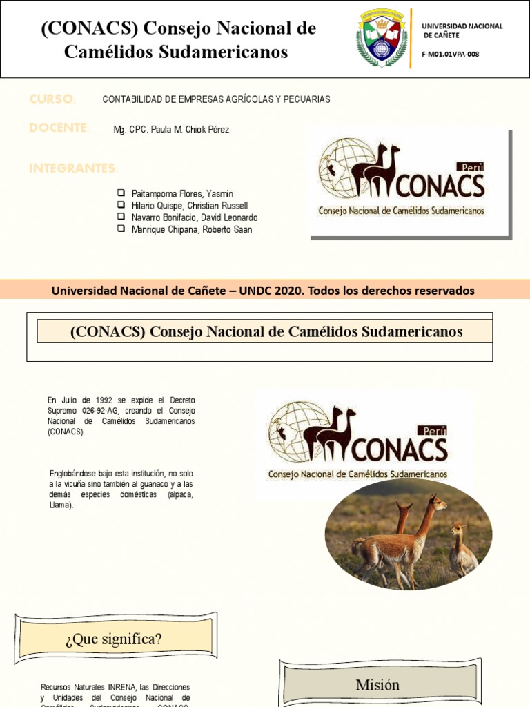 Conacs - Trabajo Grupal | PDF | Incluso los ungulados de dedos ...