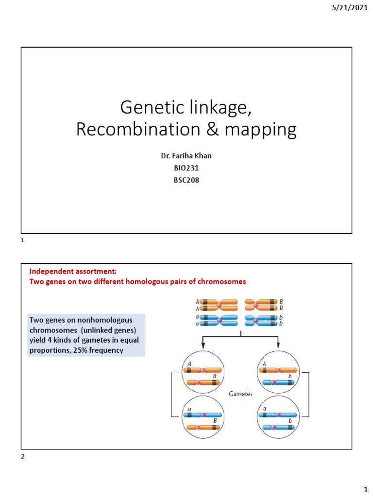 Linkage vs. Recombination Explained | PDF | Genetic Linkage | Genetic ...