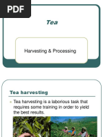 Tea Pruning Techniques and Objectives | PDF | Pruning | Leaf