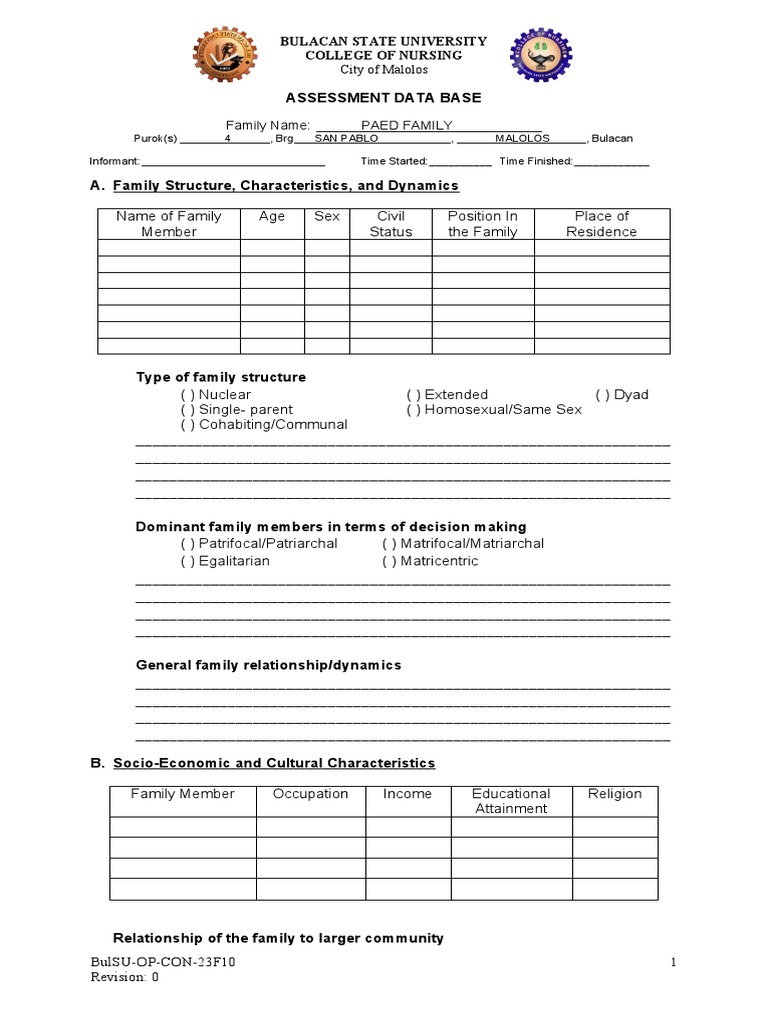 Assessment of the Paed Family: A Nursing Documentation of Family ...