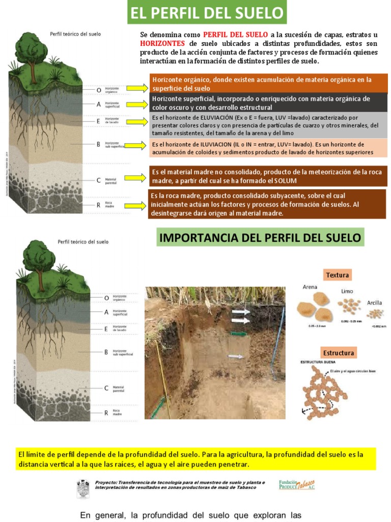 Estructura y Horizontes del Suelo | PDF