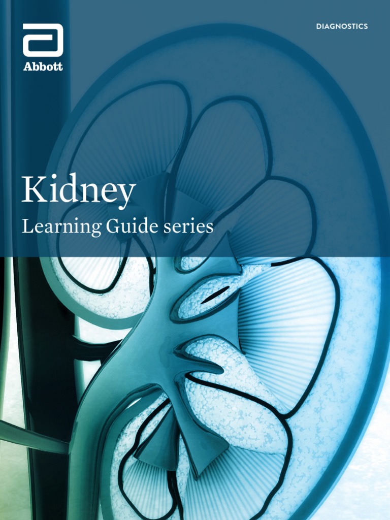Kidney Learning Guide Series | PDF | Urinary Bladder | Kidney