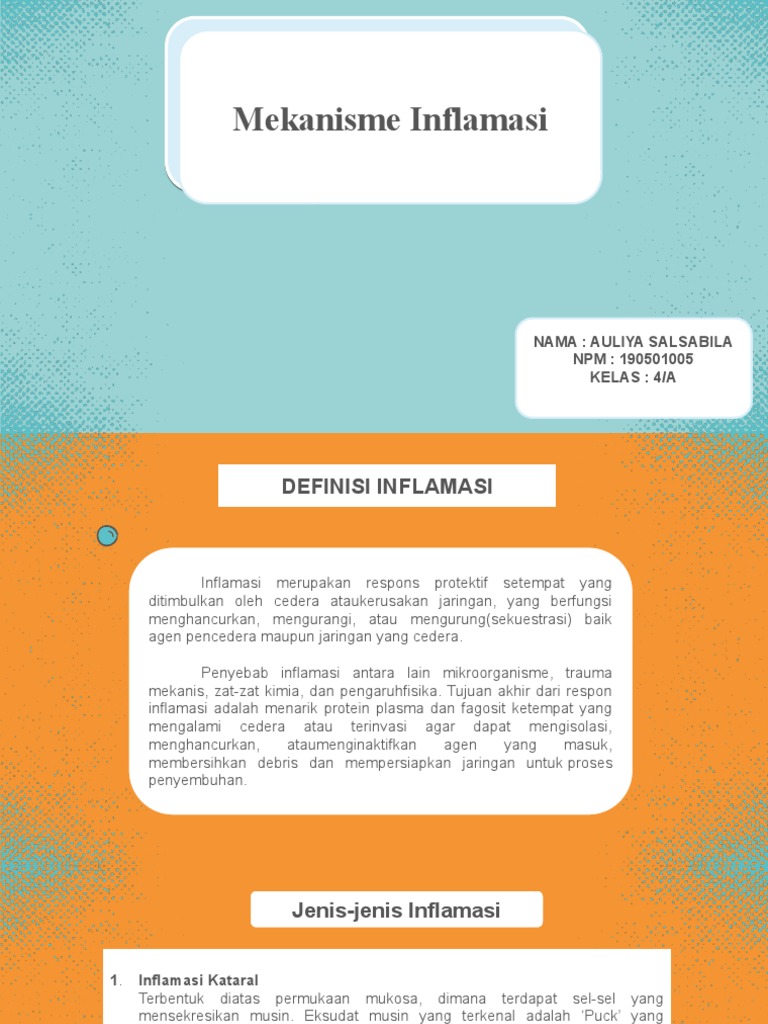 Auliya Salsabila - 190501005 - Mekanisme Inflamasi | PDF