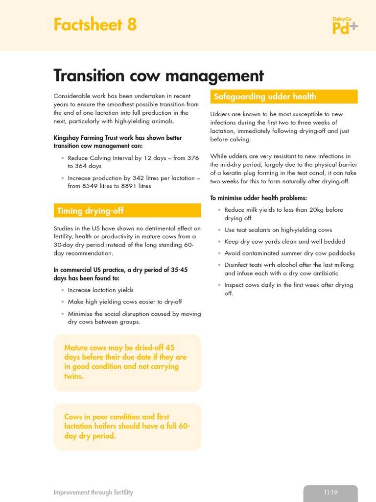Transition Cow Management: Factsheet 8 | PDF | Cattle | Food And Drink
