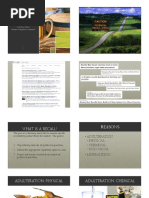 Mock Recall Traceability Summary Report | PDF | Business