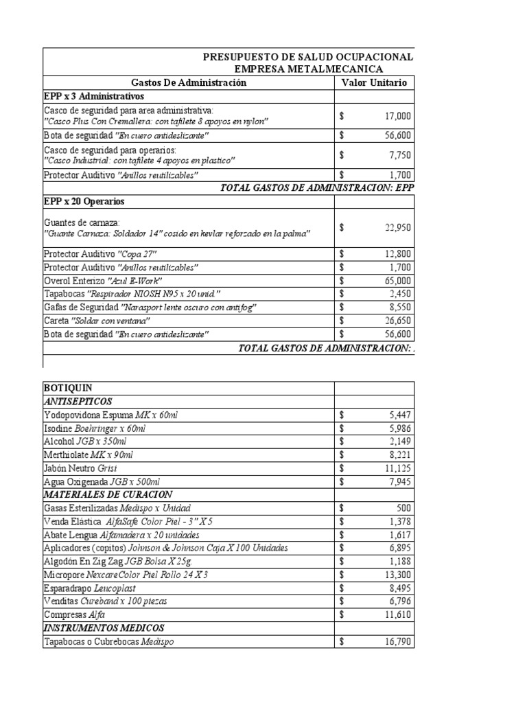 Presupuesto de Salud Ocupacional | PDF | Bienestar | Medicina