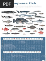 Homemade Explosives Recognition Guide USA 2010 | PDF | Sulfuric Acid ...