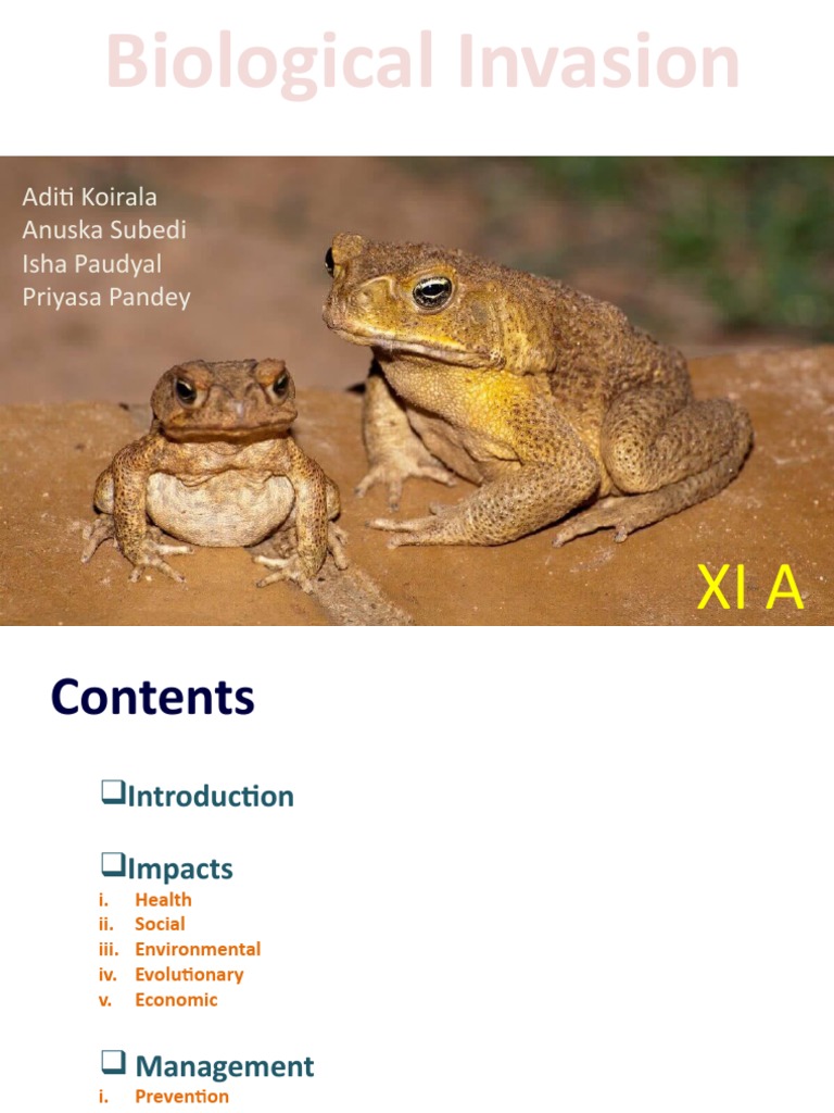 Biological Invasions: Impacts and Management Strategies of Invasive ...