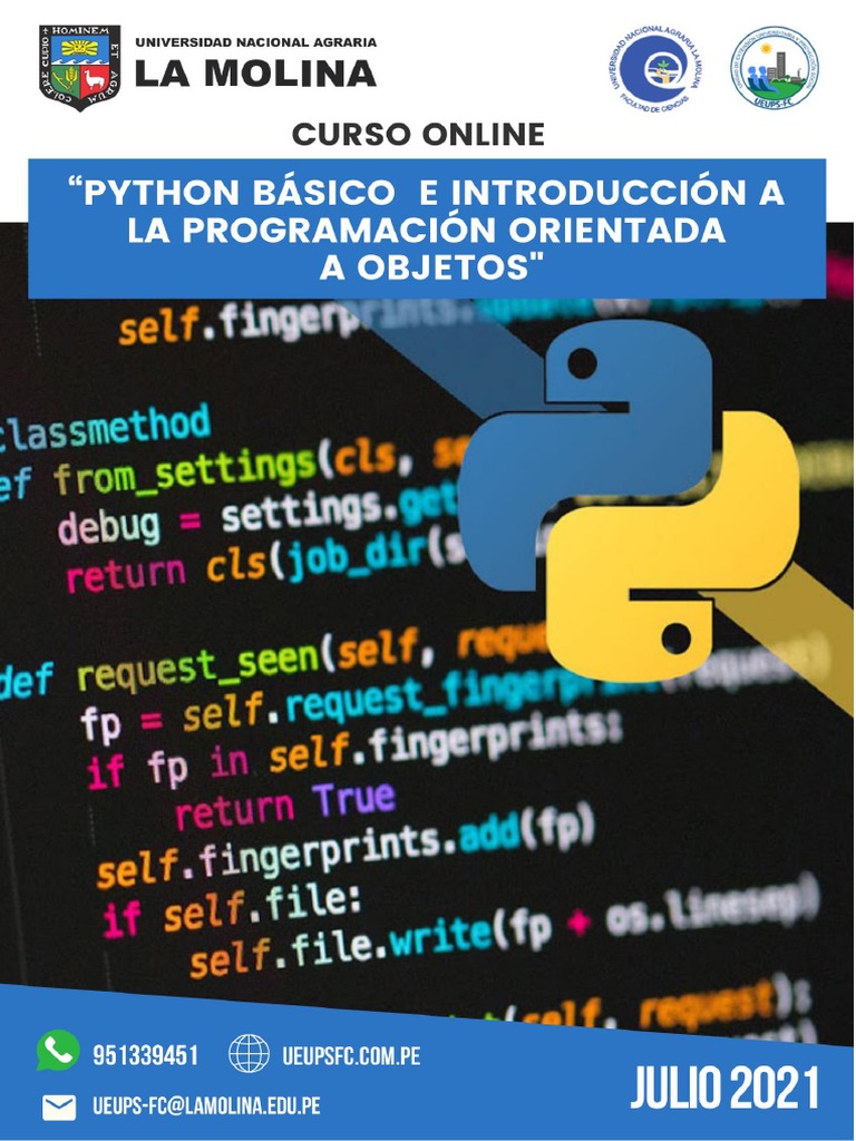 Curso Online Python Basico Unalm | PDF | Python (lenguaje de ...