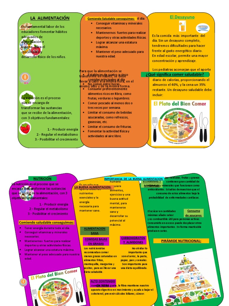 Tripticos Vida Saludable | PDF | Alimentos | Nutrición