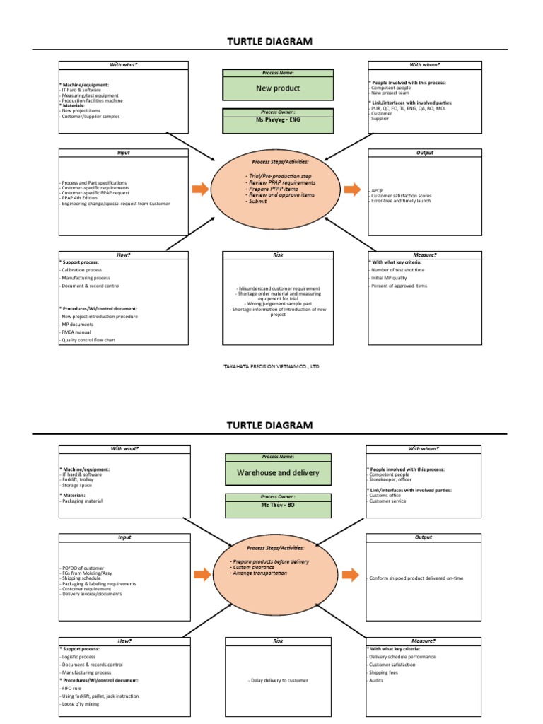 Turtle Diagram Template Free