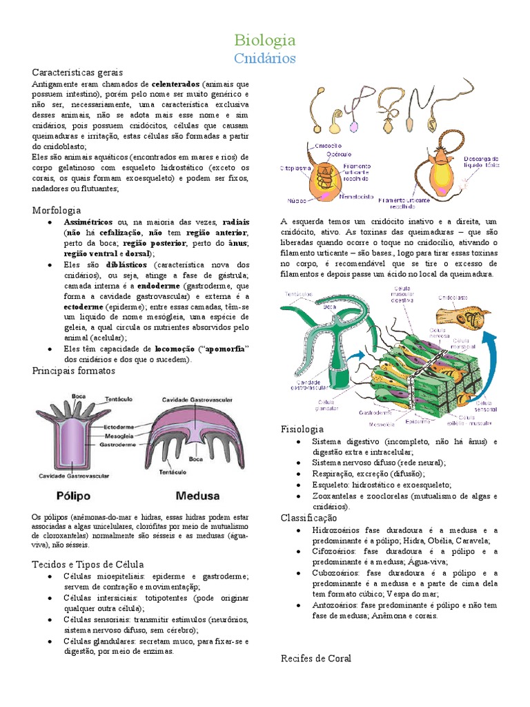 Cnidócitos | PDF | Biologia | Organismos