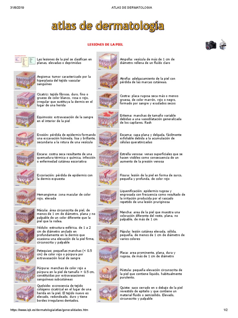 Atlas de Dermatologia | PDF | Piel | Órganos sensoriales