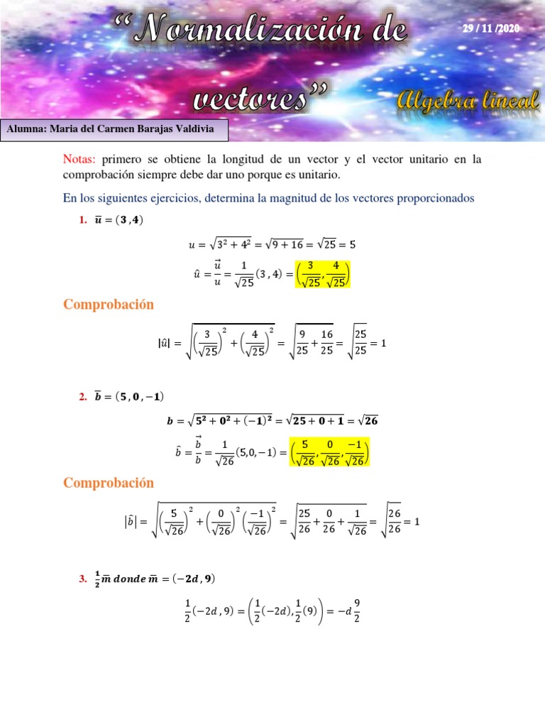 Normalización de Vectores - MCBV | PDF