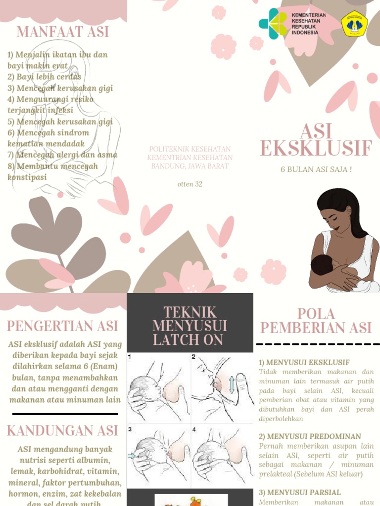 Leaflet Asi Eksklusif Dan Teknik Menyusui | PDF