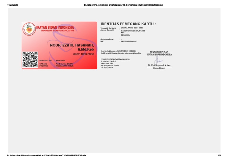 Ibi Data-Online Id | PDF