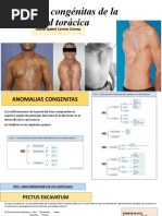 Ángulo de Louis | PDF | Tórax | Anatomía humana