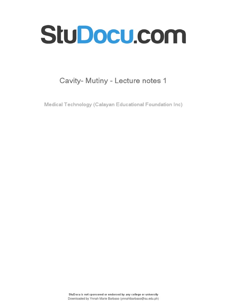 Cavity Mutiny Lecture Notes 1 | PDF | 2nd Millennium Conflicts | Early ...