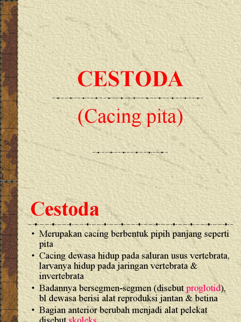Ppt. Cestoda | PDF