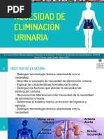 Medición y Características de Diuresis | PDF | Orina | Sodio