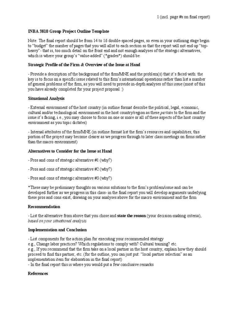 INBA 3810 Group Project Outline Template | Download Free PDF | Business ...