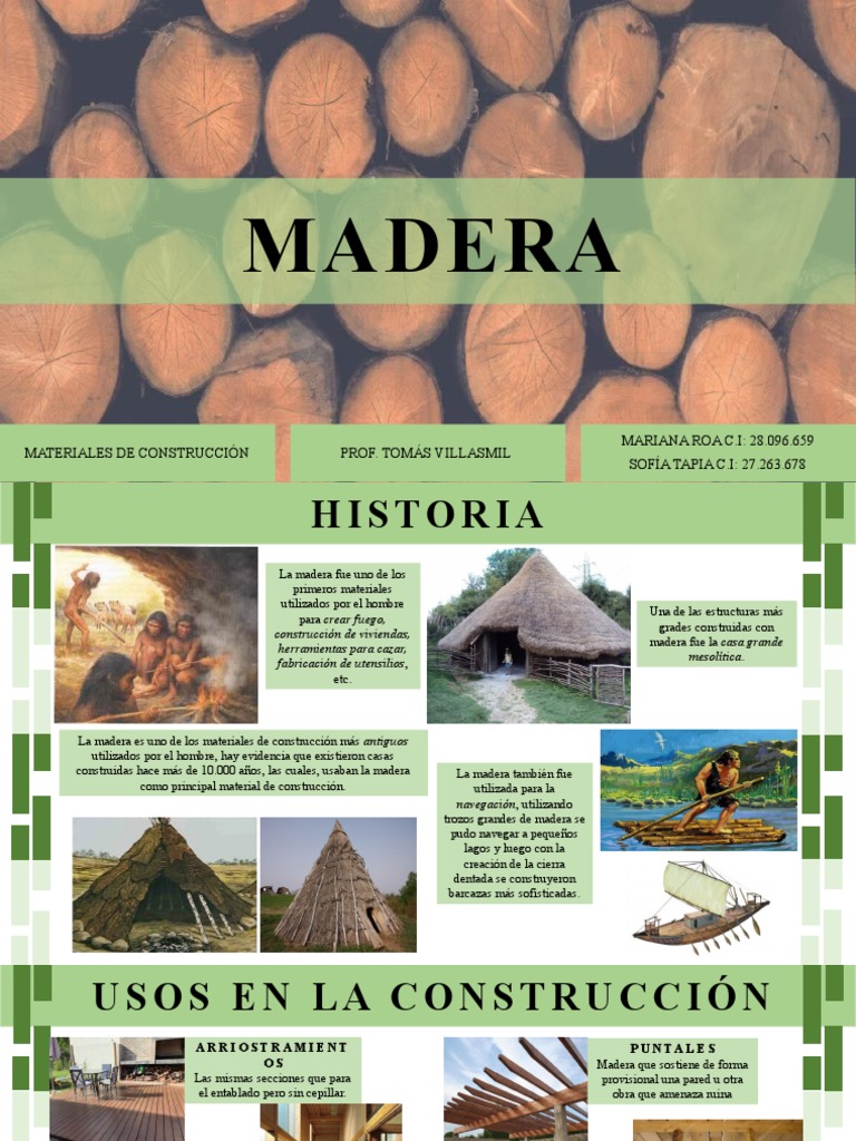 Usos y Tipos de Madera en Construcción | PDF | Madera | Materiales de ...
