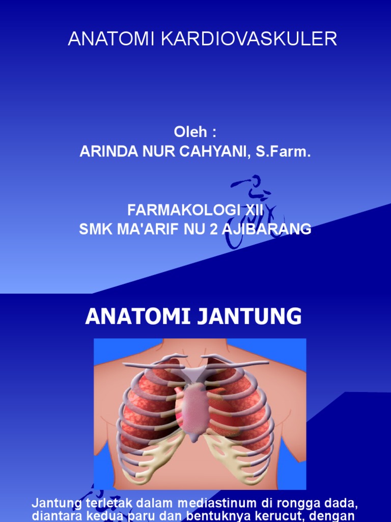 Anatomi Kardiovaskular | PDF