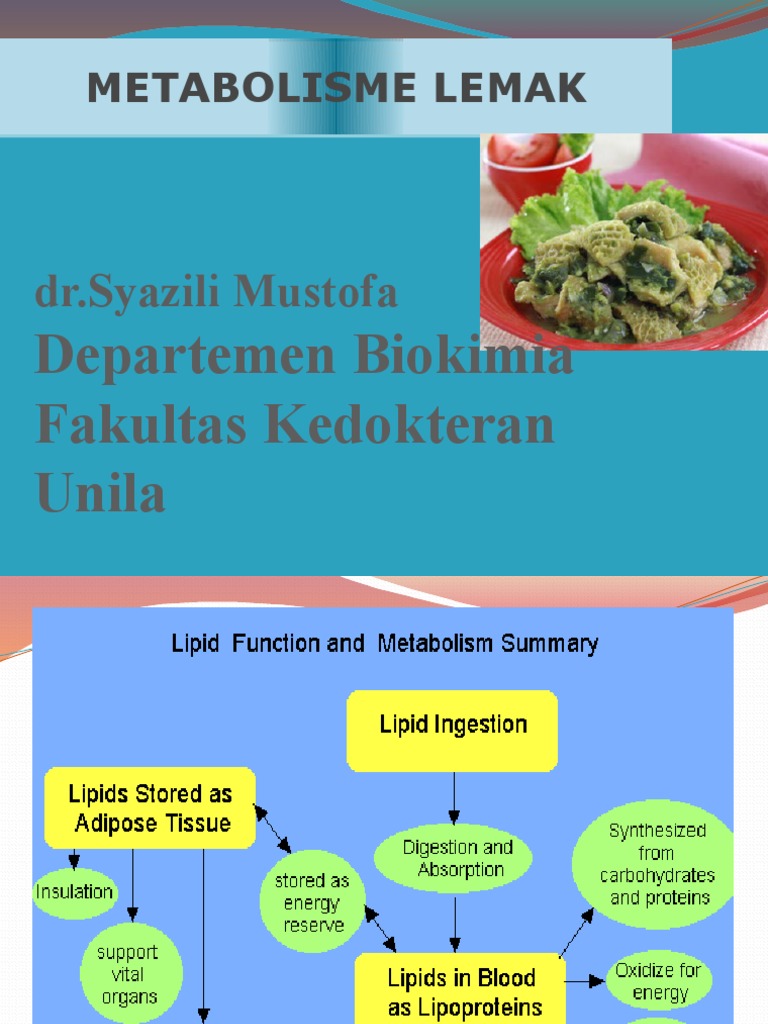 METABOLISME Lemak | PDF