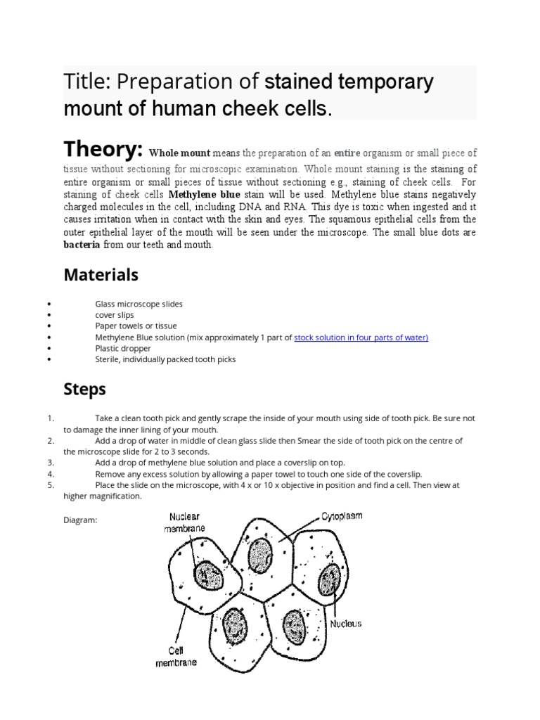 Preparation of Temporary Whole Mount | PDF | Wellness