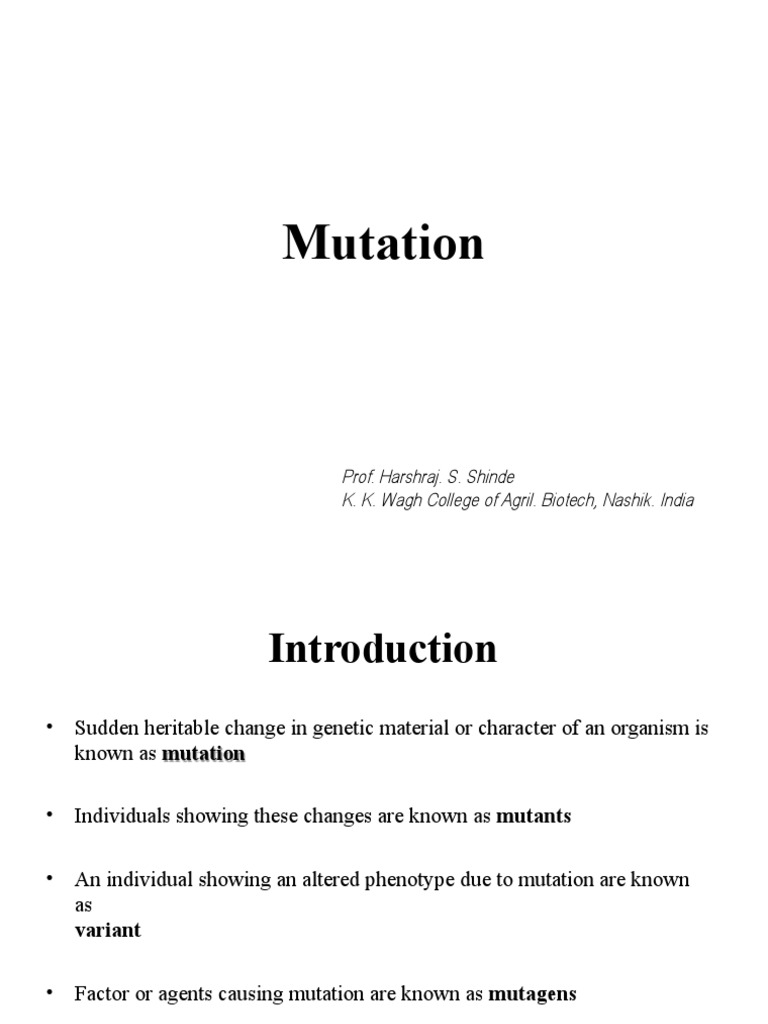 Understanding Genetic Mutations | PDF | Point Mutation | Mutation